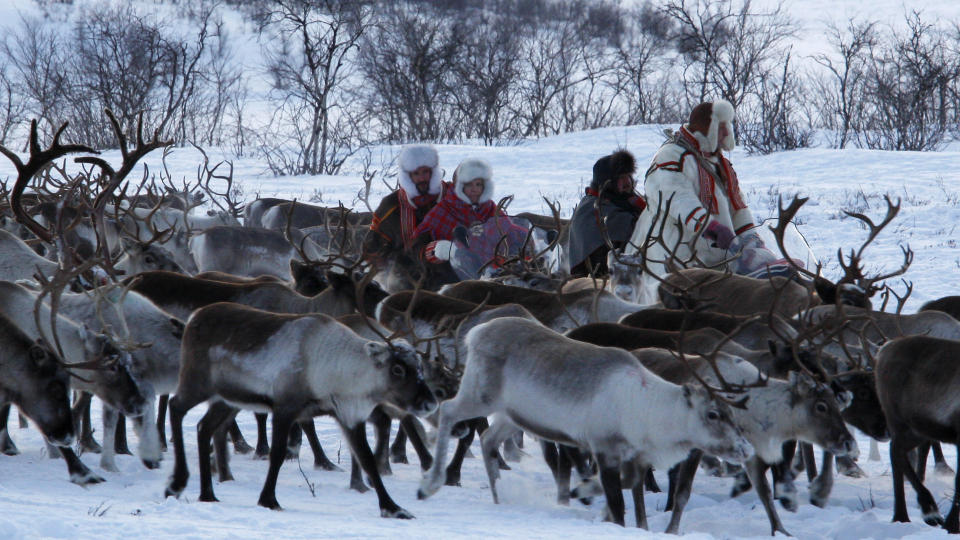 Klimakutter antall reinsdyr - nyheter - Dagbladet.no